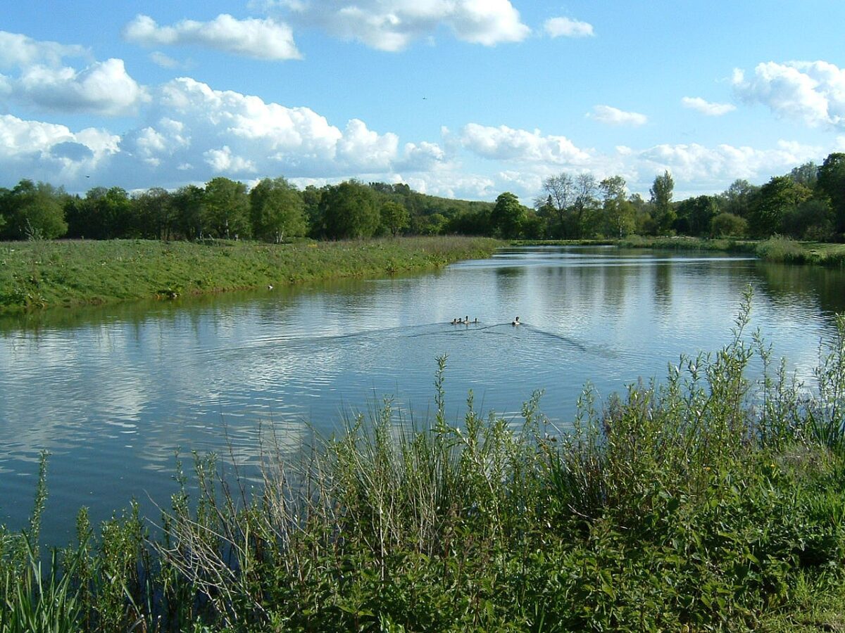 Marsh Farm – Sat 14th March 2026 – Fish South